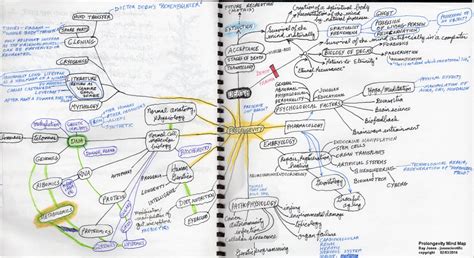 Prolongevity Mind Map Jonescientific By Voices In The Walls On Deviantart