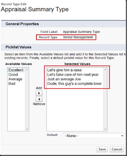Get Picklist Values In Apex Based On Record Type Fix