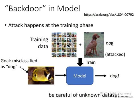 深度学习十三 Adversarial Attack 理论部分 知乎