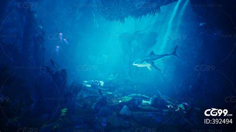 海底 水世界 卡通 风格化 海底 悬崖 岩石 世界 水母 珊瑚 鲨鱼 Ue4 Ue5虚幻引擎