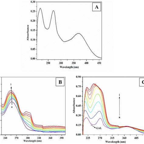 Uv Absorption Spectra Of Free Gal A Ct Dna Gal B And Gal Ct Dna Download Scientific