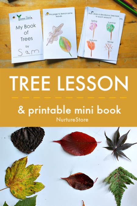 Tree Lesson Plan And Tree Mini Book Printable Nurturestore