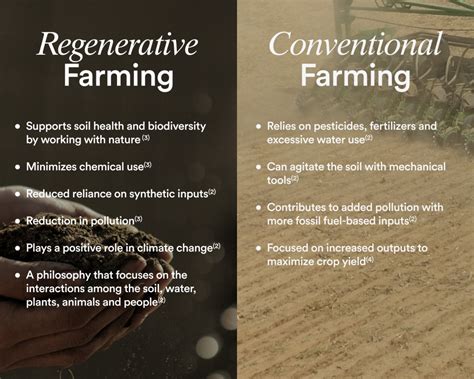 What Is Regenerative Agriculture And Climate Friendly Farming