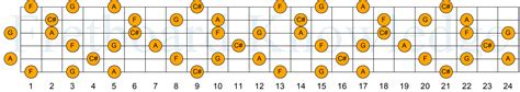 6 String Fretboard Knowledge
