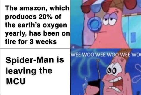 it s resources finite r thanosdidnothingwrong