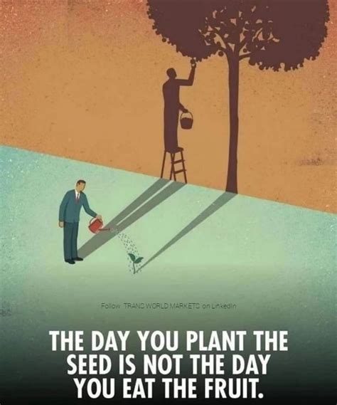 Sajeer P T On Linkedin True