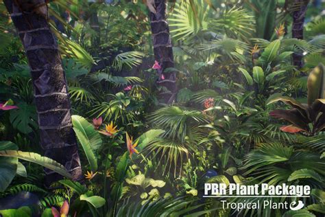 Tropical Plant 3d 植物 Unity Asset Store