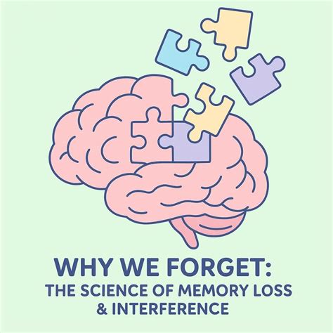 Why We Forget The Science Of Memory Loss And Interference