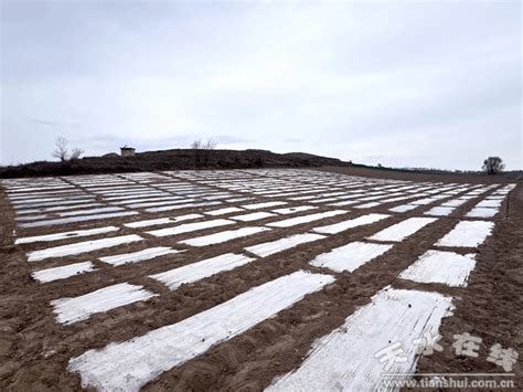 天水市农业农村局开展地膜田间试验示范 图 天水在线