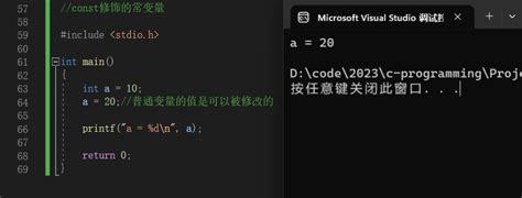 初识C语言 变量和常量 CSDN博客