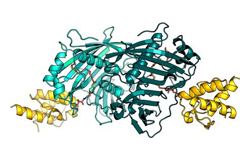 github matteoferla a thaliana fata modelling native ligand modelling