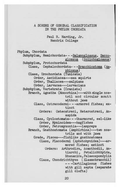 Phylum Chordata Classes