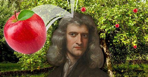 Where Is The Apple Tree That Inspired Isaak Newton Cherifa Bochra