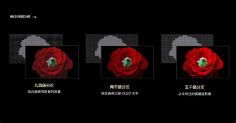 2023年画质天花板 Tcl“双5000”qd Mini Led电视 X11g发布 知乎