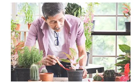 Do Cigna Ppo Plans Really Offer Better Access To Care