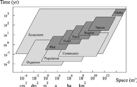 Examples Of The Spatial And Temporal Scale For Investigations Of