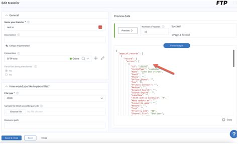 Apply Branching To Your Flow Celigo Help Center