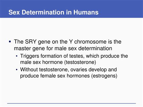 Ppt Chromosomes And Human Inheritance Powerpoint Presentation Free Download Id 547685