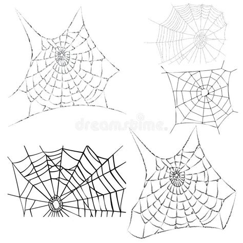 cobwebs stock vector illustration of element netting 22465718