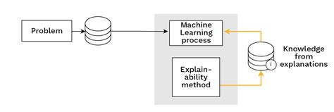improving explainable machine learning through additional knowledge