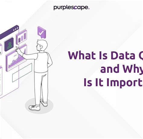 Data Quality Archives Purplescape