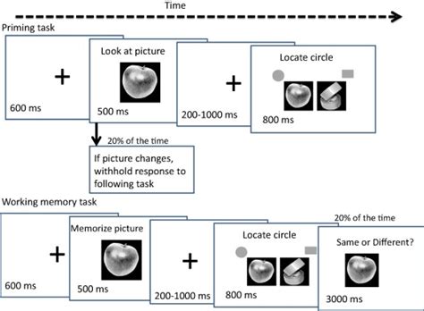 Illustration Of The Priming And Working Memory Tasks Subjects Were Download Scientific Diagram