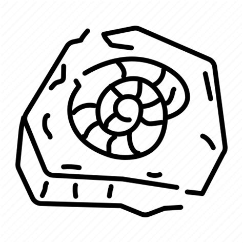 Shell Fossil Shell Rock Snail Fossil Preserved Remains Fossil Relic Icon Download On Shell Fossil Shell Rock Snail Fossil Preserved Remains Fossil Relic Icon Download On