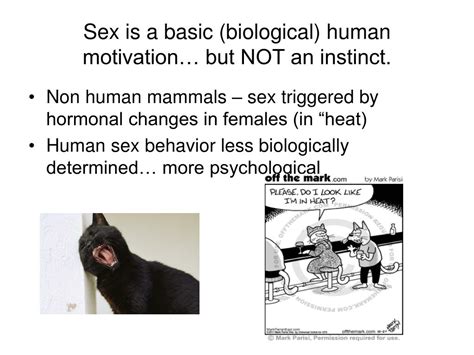 Ppt Sexual Motivation 374 378 Powerpoint Presentation Free Download