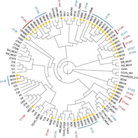 A Sample To Sample Distances Heatmap Generated With Deseq2 Software Download Scientific