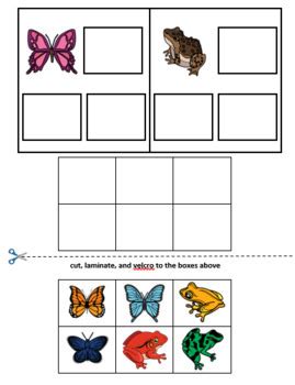 Non Identical Matching By Autism Basics TPT