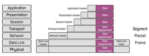 Header Formats In Networking Bunksallowed