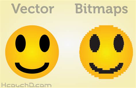 What Are The Differences Between Vector And Bitmap Files