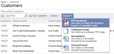 Code On Time Data Controllers Views Report Label