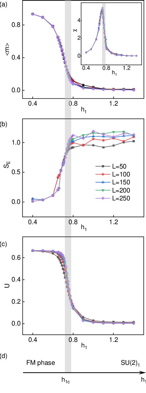 Figure 1 From Phase Diagram Of A One Dimensional Ising Model With An