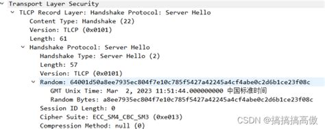国密握手协议抓包及流程详解iso 2156101971501 Csdn博客