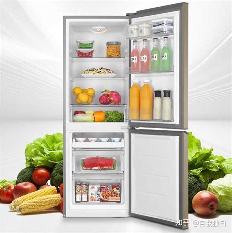 如何选购冰箱？ 知乎