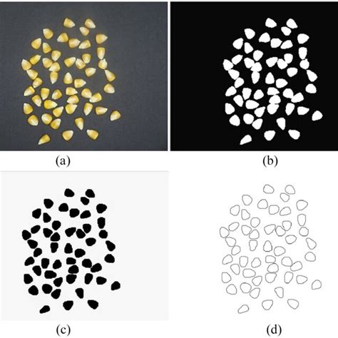 Image Preprocessing And Contour Extraction A Original Color Image Download Scientific