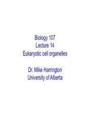 Exploring Eukaryotic Cell Organelles: A Comprehensive Overview | Course ...