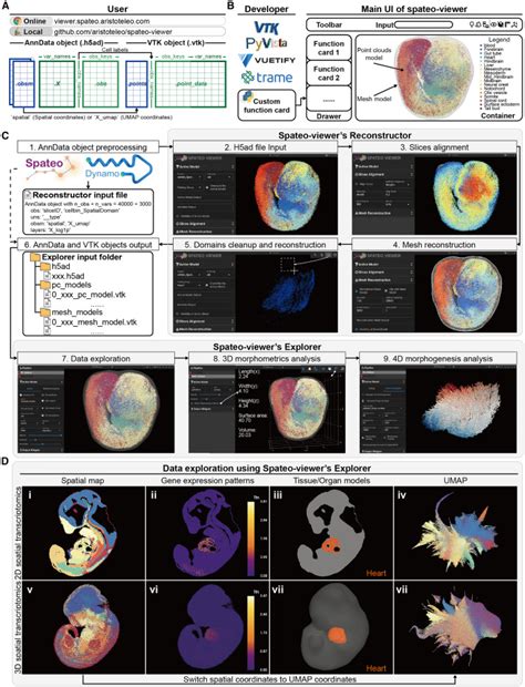 Spatiotemporal Modeling Of Molecular Holograms Cell