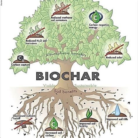 Pdf Characterization Of Chemical And Physical Properties Of Biochar