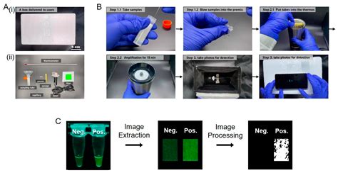 Biosensors Free Full Text Rapid On Site Detection Of Sars Cov 2