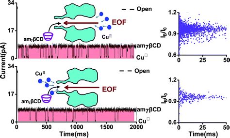 nanopore sensor for copper ion detection using a polyamine decorated β