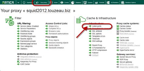 Use A Godaddy Certificate For A Proxy Ssl Port Artica Proxy