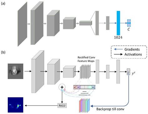 a model architecture of the cnn classifier the blue part denotes the