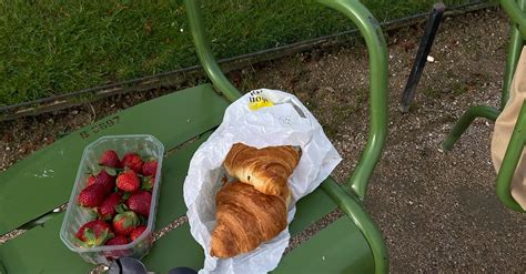 가방 경치가 좋은 고요한 공원 과일 낭만적인 녹색 의자 달콤한 도시 공원 딸기 레저 문화 체험 바게트