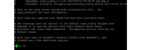 Freebsd Ssh Port Değiştirme Hostinghocam