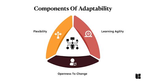 5 Essential Leadership Skills Kapable Blog