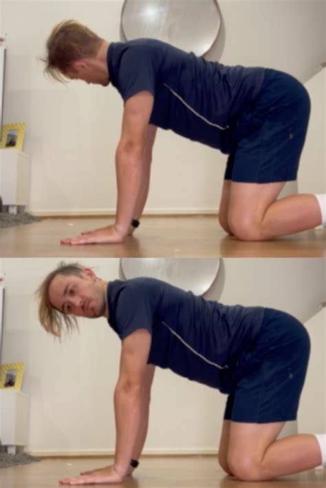 Matching Exercise Prescription To Job Requirements Specialised Health NZ