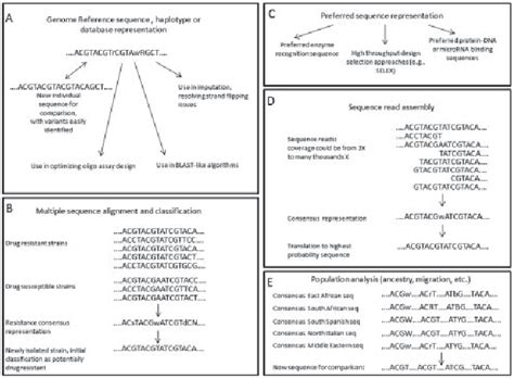 Figure 1 From An Extended Iupac Nomenclature Code For Polymorphic Nucleic Acids Semantic Scholar