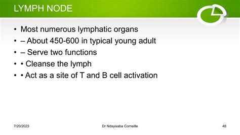 Thephysiology Lymphoreticular Systempdf